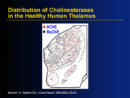 The Treatment of Alzheimer's Disease and Disease Progression Modification