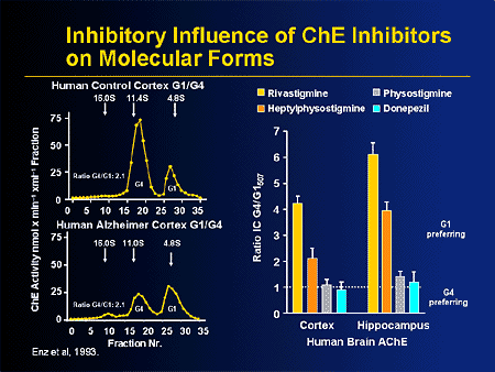 The Role of Cholinesterase Inhibitors in the Treatment of Alzheimer's ...