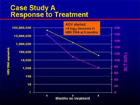 Increasing Efficacy in Chronic Hepatitis B: Evidence-Based Strategies