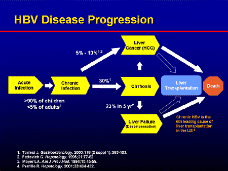 Increasing Efficacy in Chronic Hepatitis B: Evidence-Based Strategies