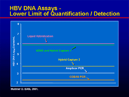 Increasing Efficacy in Chronic Hepatitis B: Evidence-Based Strategies
