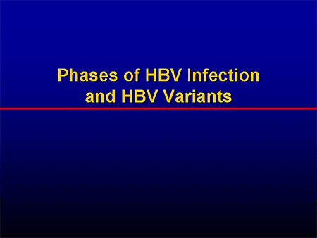 Increasing Efficacy in Chronic Hepatitis B: Evidence-Based Strategies