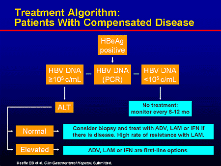 Increasing Efficacy in Chronic Hepatitis B: Evidence-Based Strategies