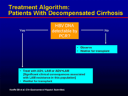 Increasing Efficacy in Chronic Hepatitis B: Evidence-Based Strategies