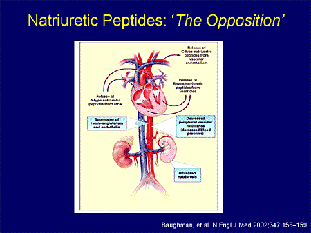 The Expanding Role of Natriuretic Peptide Treatment in the Management ...