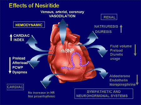 The Expanding Role of Natriuretic Peptide Treatment in the Management ...