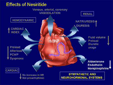 The Expanding Role of Natriuretic Peptide Treatment in the Management ...