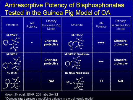 Bisphosphonates in Osteoporosis: Emerging Science
