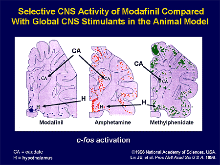 Doc, I'm Tired: New Approaches to Better Manage Fatigue and Sleepiness ...