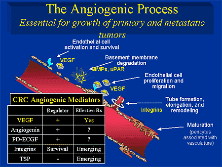New Data With Angiogenesis Inhibitors in Gastrointestinal Malignancies