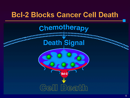 From Targets to Therapy: Novel Drugs in Advanced Clinical Trials