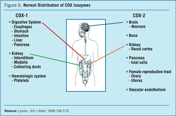 Gastric Protection in NSAID Therapy