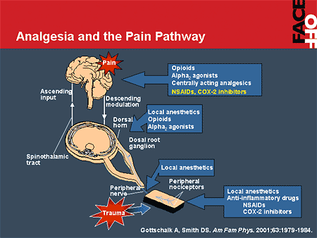 Face-Off: Clinical Counterpoints, New Technologies, and Controversies ...