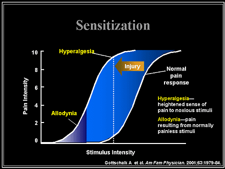 A Primer on Pain Management: Optimal Therapy for the Patient in Pain