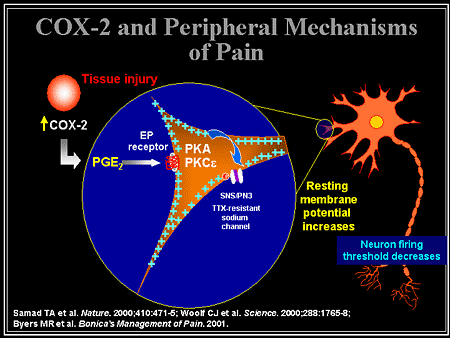 A Primer on Pain Management: Optimal Therapy for the Patient in Pain