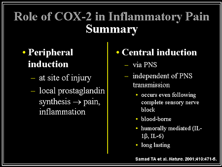 A Primer on Pain Management: Optimal Therapy for the Patient in Pain