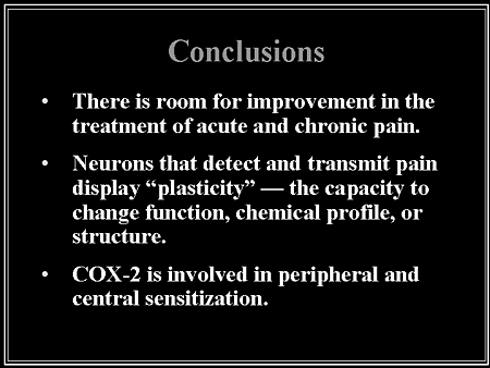 A Primer on Pain Management: Optimal Therapy for the Patient in Pain