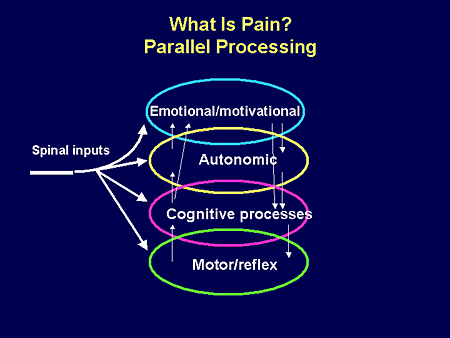 A Primer on Pain Management: Optimal Therapy for the Patient in Pain