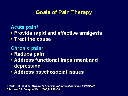 A Primer on Pain Management: Optimal Therapy for the Patient in Pain