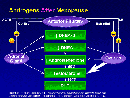 Restoring Sexual Desire: The Safety and Efficacy of Testosterone in ...