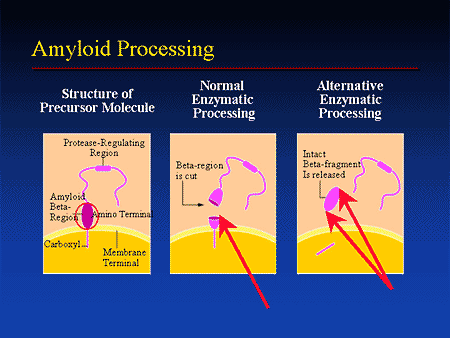 Current Alzheimer's Disease Treatments and Beyond: Advances Impacting ...