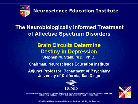The Neurobiologically Informed Treatment of Affective Spectrum ...