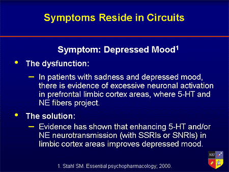 The Neurobiologically Informed Treatment of Affective Spectrum ...