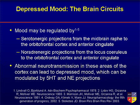 The Neurobiologically Informed Treatment of Affective Spectrum ...