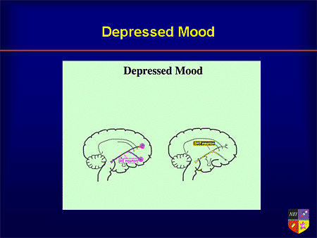 The Neurobiologically Informed Treatment of Affective Spectrum ...
