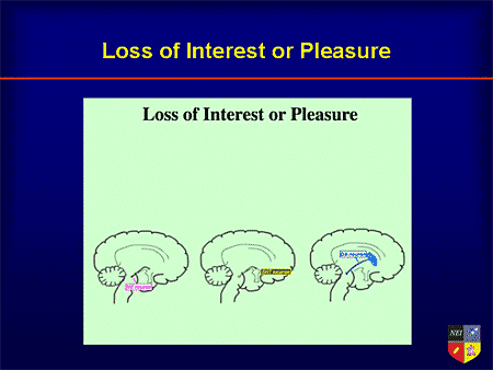 The Neurobiologically Informed Treatment of Affective Spectrum ...