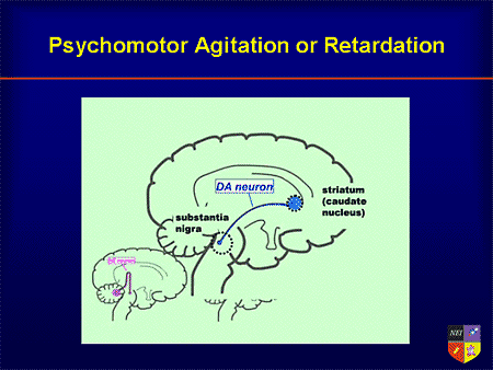 The Neurobiologically Informed Treatment of Affective Spectrum ...