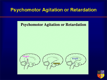 The Neurobiologically Informed Treatment of Affective Spectrum ...