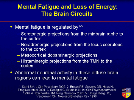 The Neurobiologically Informed Treatment of Affective Spectrum ...