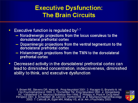 The Neurobiologically Informed Treatment of Affective Spectrum ...