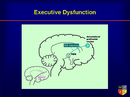 The Neurobiologically Informed Treatment of Affective Spectrum ...