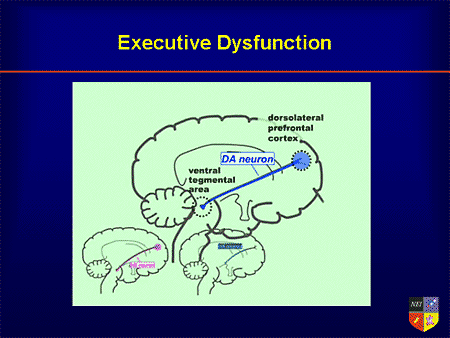 The Neurobiologically Informed Treatment of Affective Spectrum ...