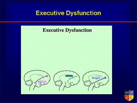 The Neurobiologically Informed Treatment of Affective Spectrum ...