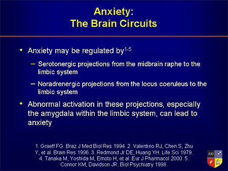 The Neurobiologically Informed Treatment of Affective Spectrum ...