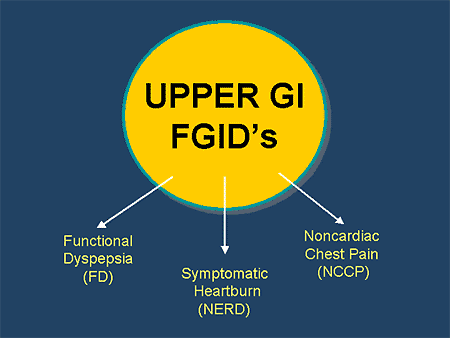 Spicing Up the Controversies and Unraveling the Issues of Acid-Related ...
