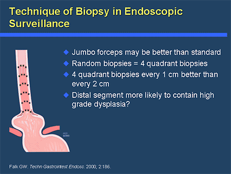 Spicing Up the Controversies and Unraveling the Issues of Acid-Related ...