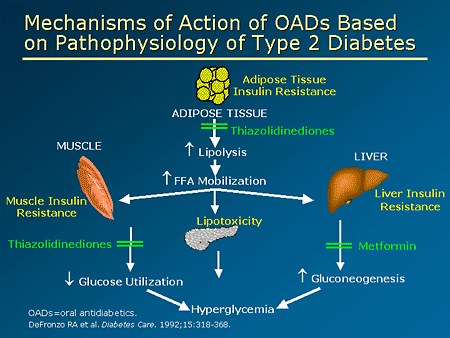 Good Morning Diabetes: Building a New Framework for Combination Therapy