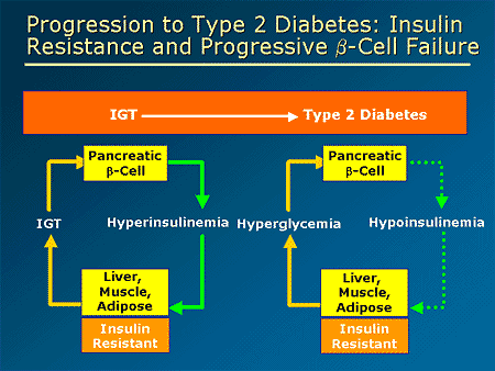 Good Morning Diabetes: Building a New Framework for Combination Therapy