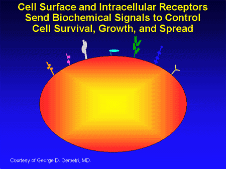 GI Cancer Challenge: Establishing Treatment Strategies Within the ...