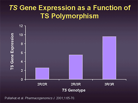 GI Cancer Challenge: Establishing Treatment Strategies Within the Evolving Paradigm
