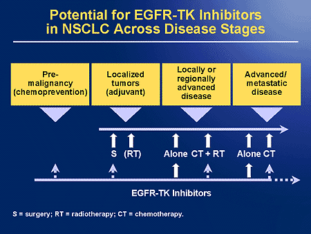 Epidermal Growth Factor Receptor Inhibition: Unanswered Questions and ...