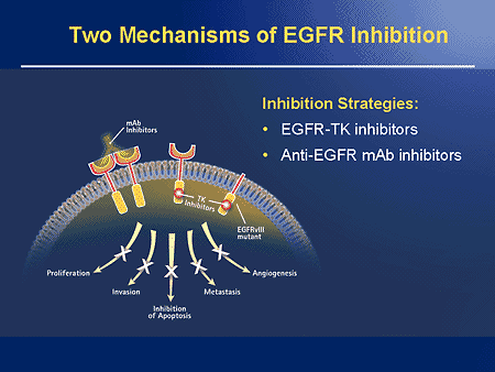 Epidermal Growth Factor Receptor Inhibition: Unanswered Questions and ...
