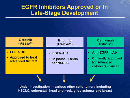Epidermal Growth Factor Receptor Inhibition: Unanswered Questions and ...