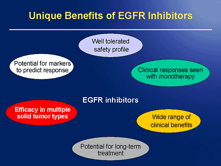 Epidermal Growth Factor Receptor Inhibition: Unanswered Questions and ...