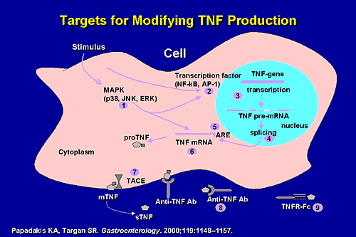Challenges in Crohn's Disease: The Role for Current and Future TNF ...