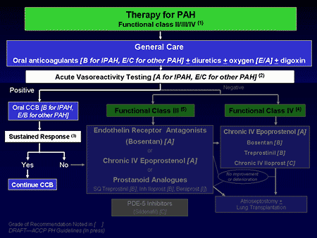 The Art and Science of the Right Heart: Diagnosis and Treatment of ...